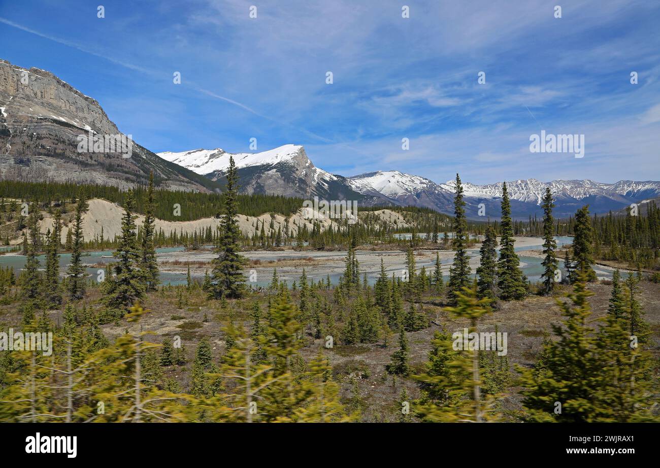 The valley on Icefield Parkway, Canada Stock Photo - Alamy