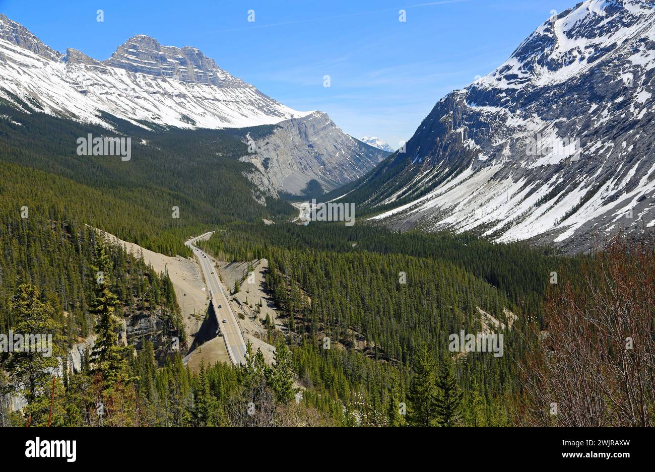 View from Big Bend lookout - Icefield Parkway, Canada Stock Photo - Alamy
