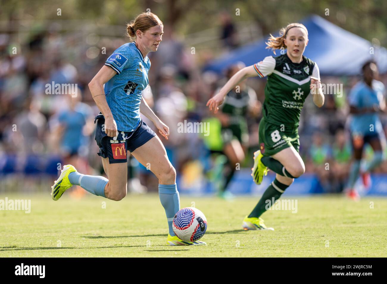 Canberra, Australia; 17th Feb 2024: Cortnee Vine of Sydney FC in action ...
