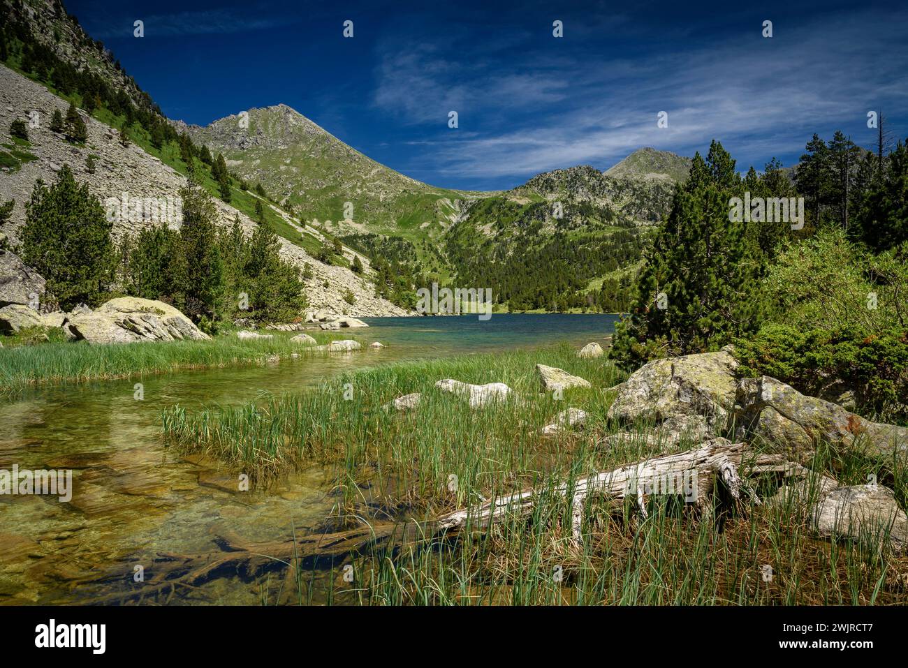 Aigüestortes Valley. Surroundings of the Estany Llong Lake ...