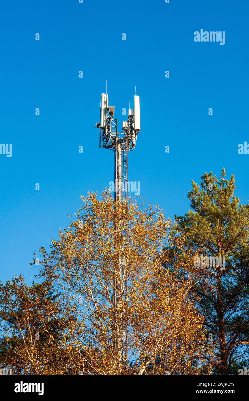 A cell tower stands tall, surrounded by trees with autumn foliage under ...