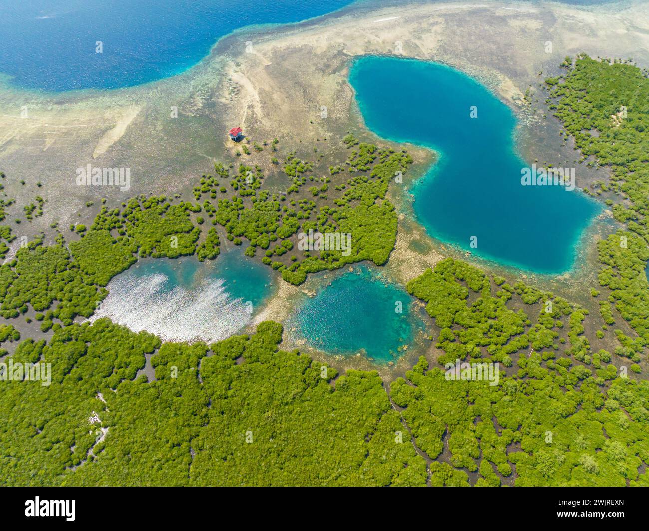 Drone view of turquoise lagoons and rainforest. Deep blue sea and coral ...