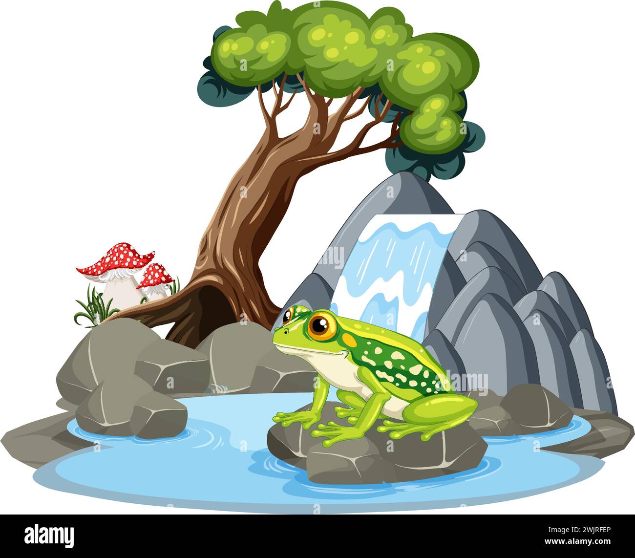 Colorful vector illustration of a frog in nature Stock Vector Image ...