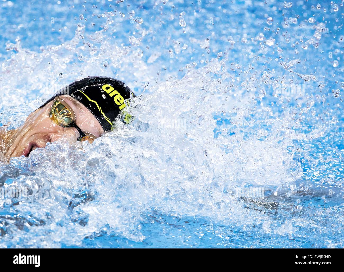 DOHA - Stan Pijnenburg in action in the 4 x 100 free mixed during the ...