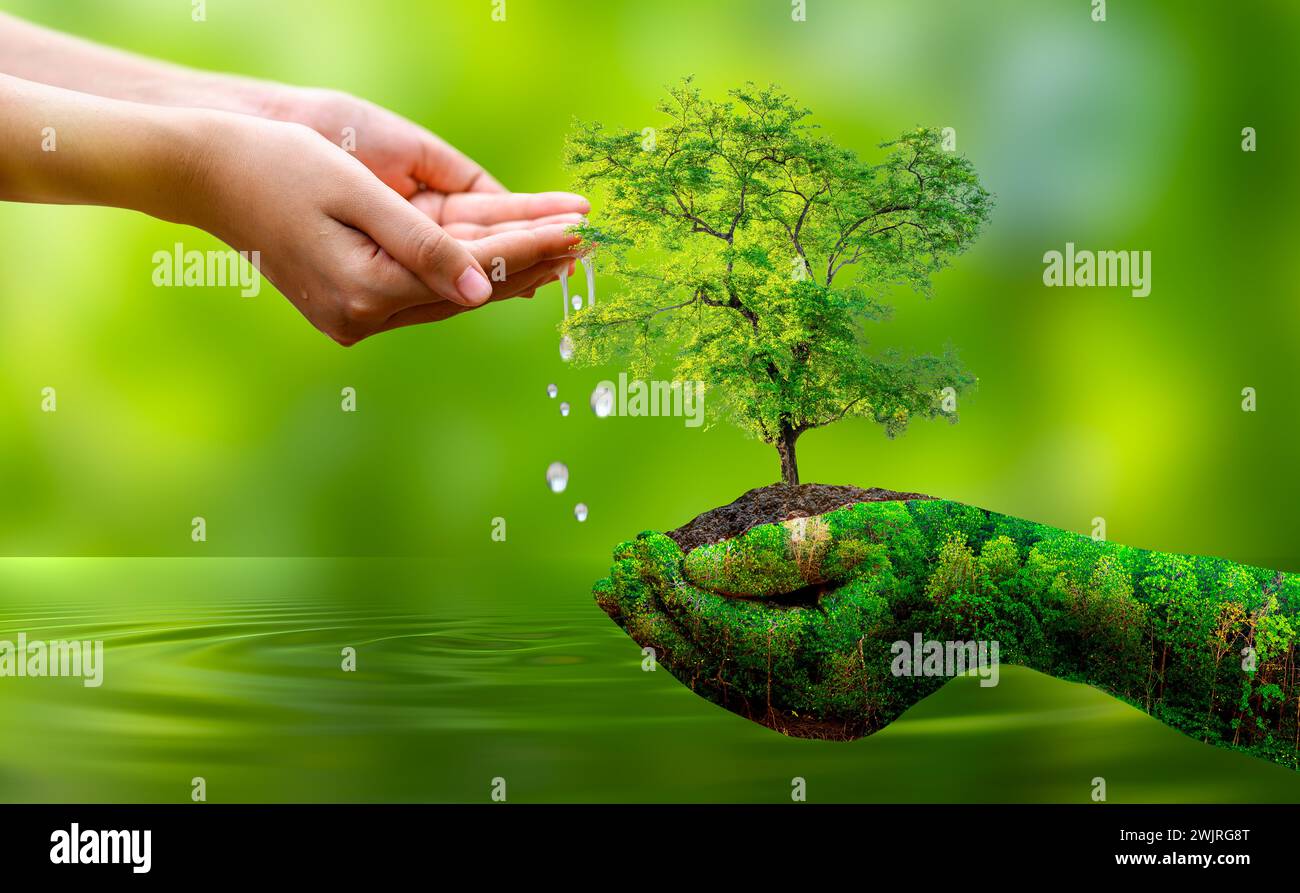 Concept Save the world save environment The world is in the grass of ...