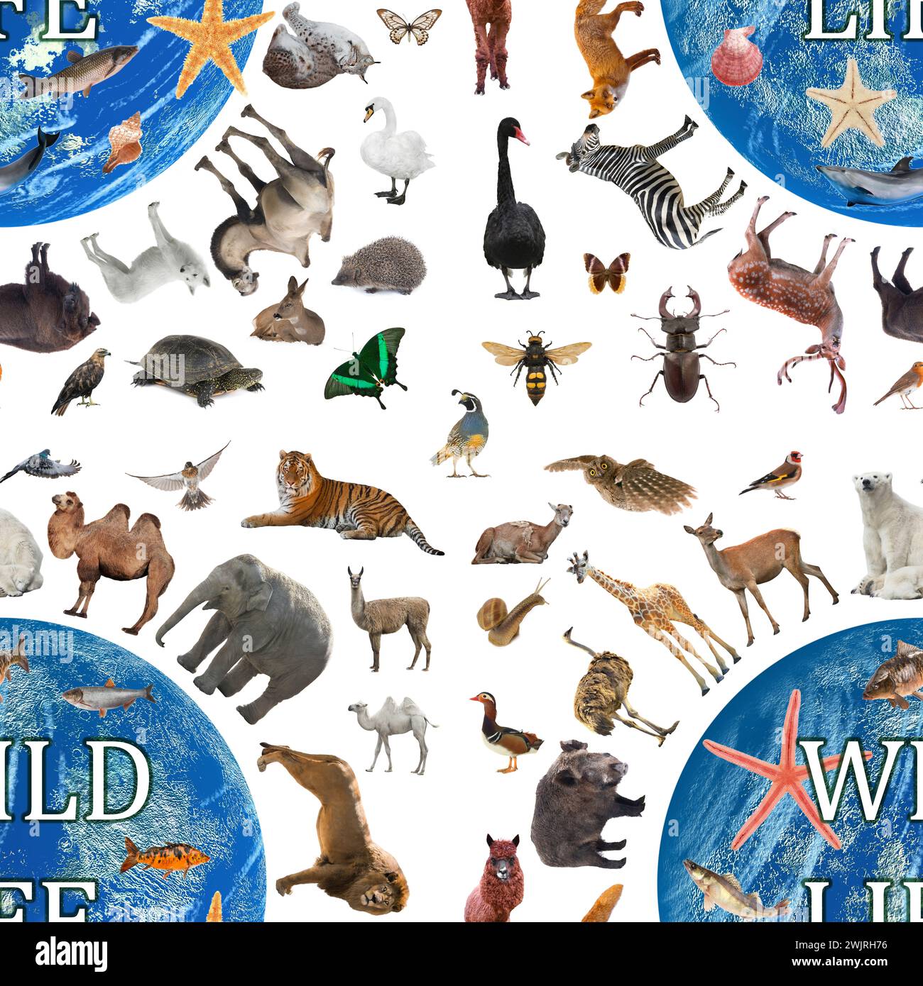 pattern wildlife walking around the world isolated on white background ...