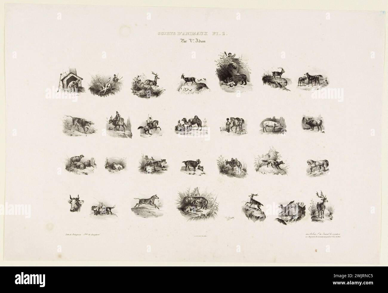 Victor Adam (1801-1886). "Animal subjects (pl.2)". Lithography. 1832 ...