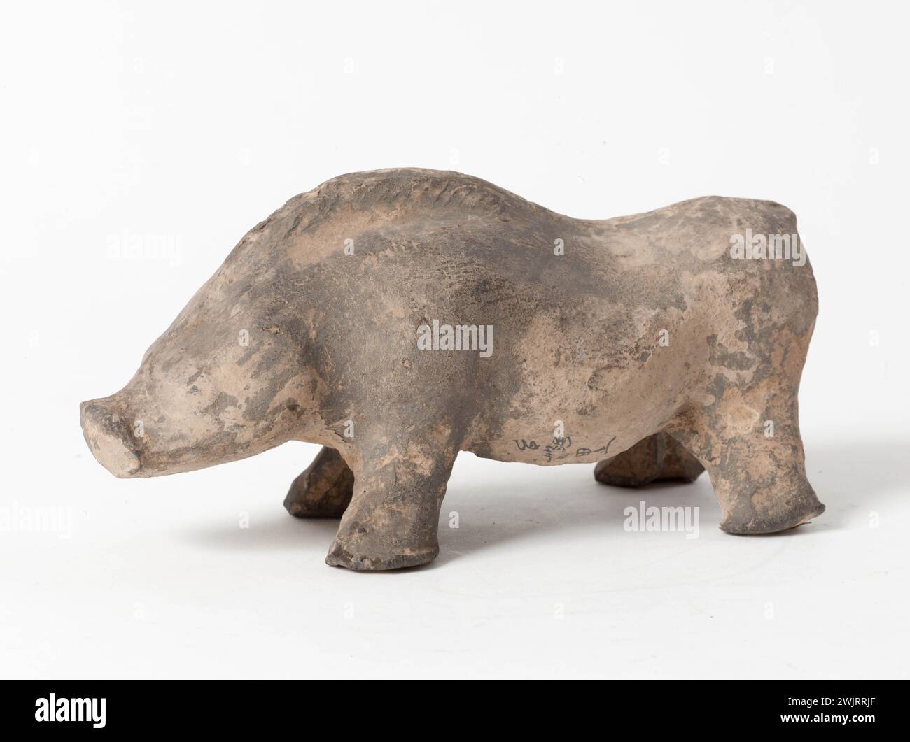 Mingqi: Porc ". Terre Cuite. Dynasty Han (206 AV. J.-C. - 220 AP. J.-C ...