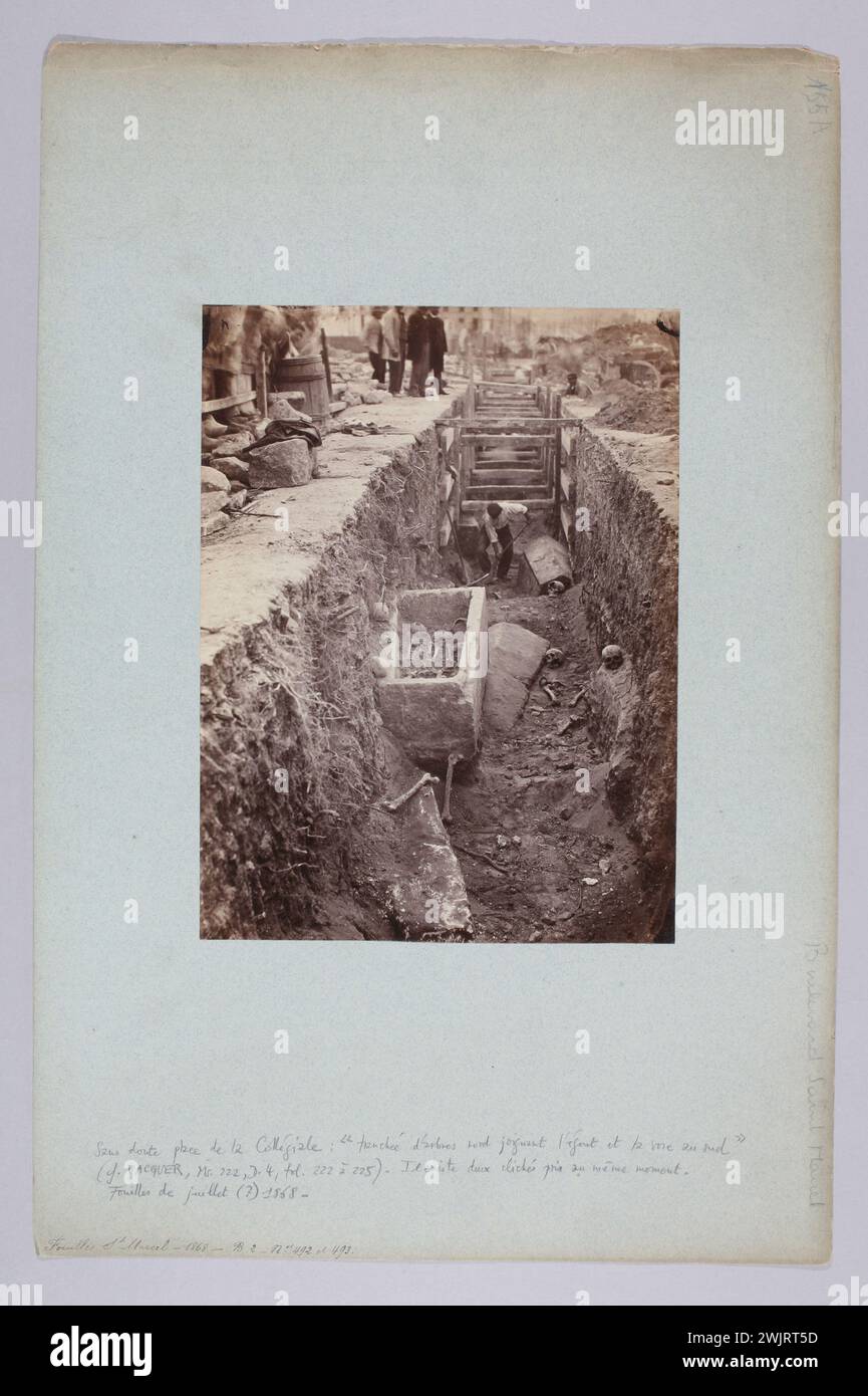 Museum workers skeletons hi-res stock photography and images - Alamy