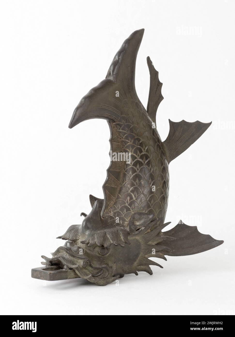 Poisson Dragon Arowana Aquarium Dit Een Favoriete Vis Met Lang Lichaam