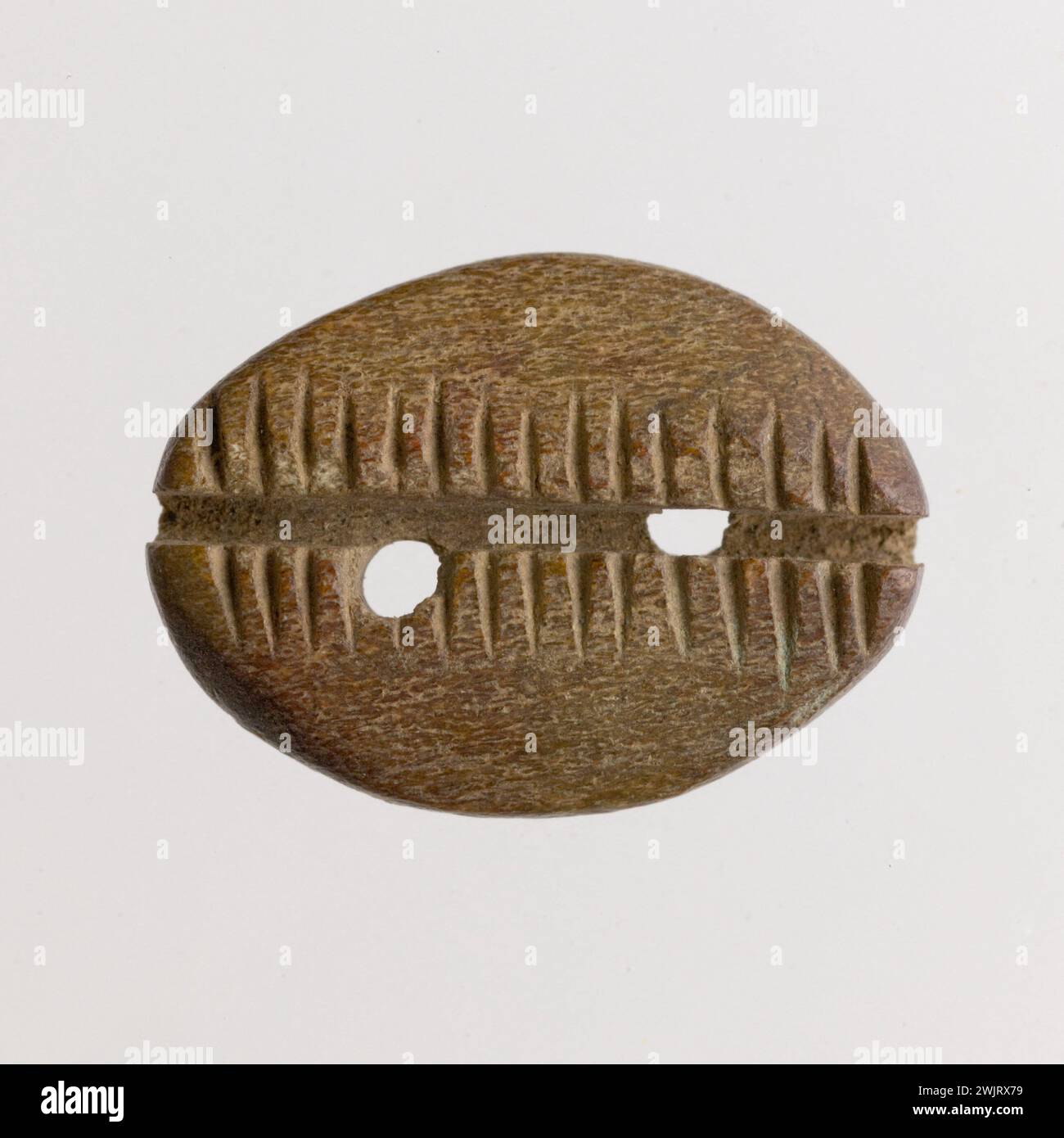 Cauris Marin (11). Shell, bone, wood, china, zhou dynasty (11th century ...