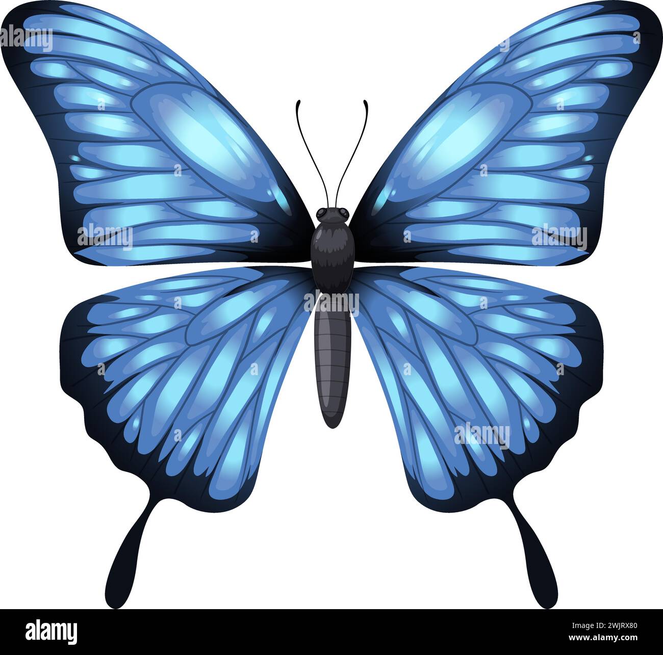A vibrant vector illustration of a blue butterfly Stock Vector Image ...