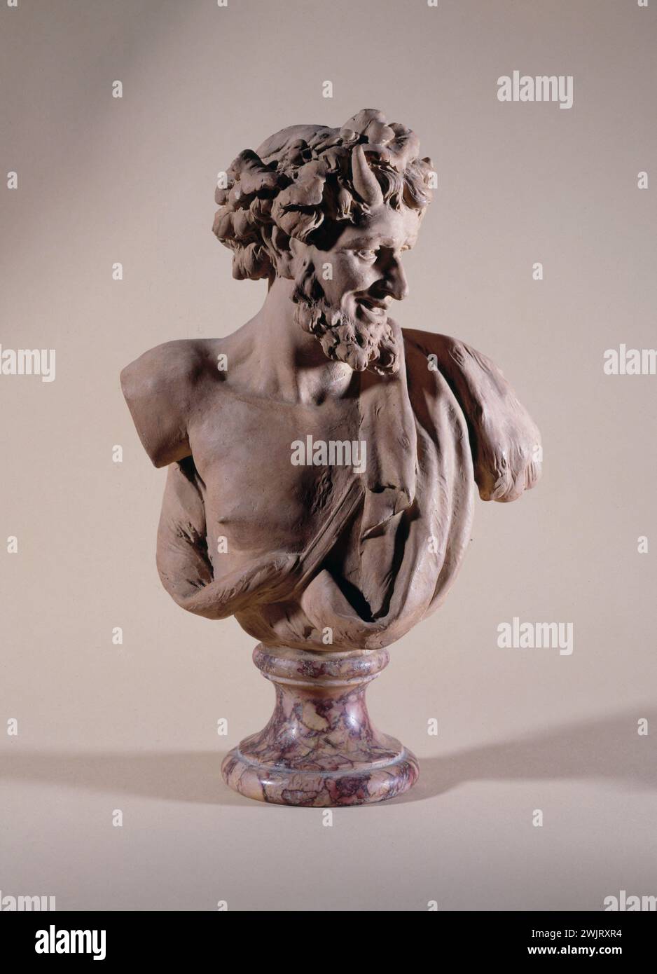 Faune fauna hi-res stock photography and images - Alamy