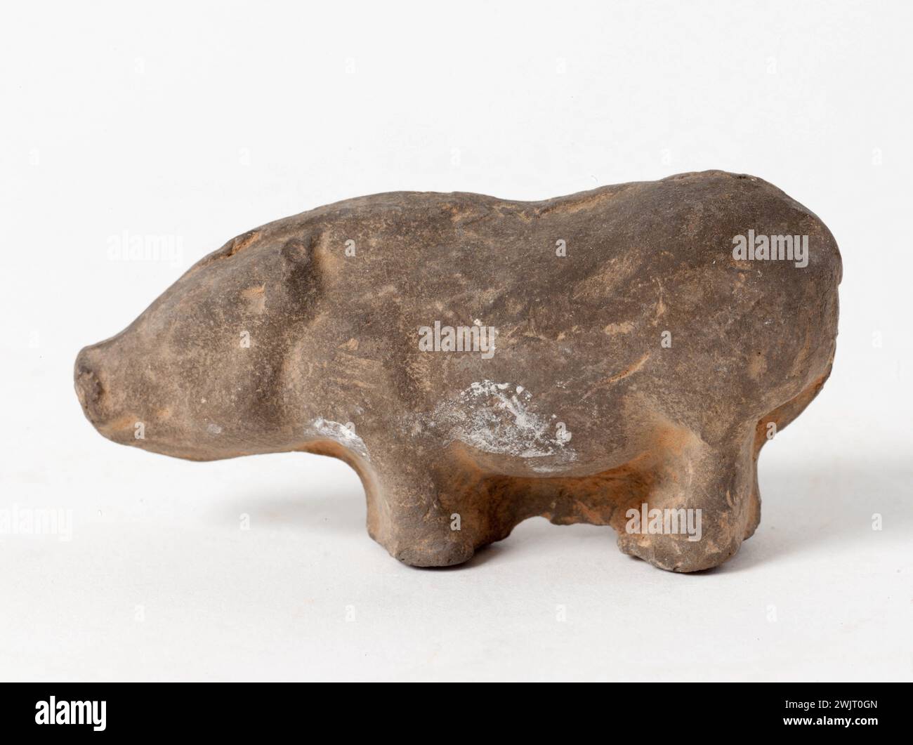 Pork ". Terracotta. Han Dynasty (206 BC-220 AD). Paris, Cernuschi ...
