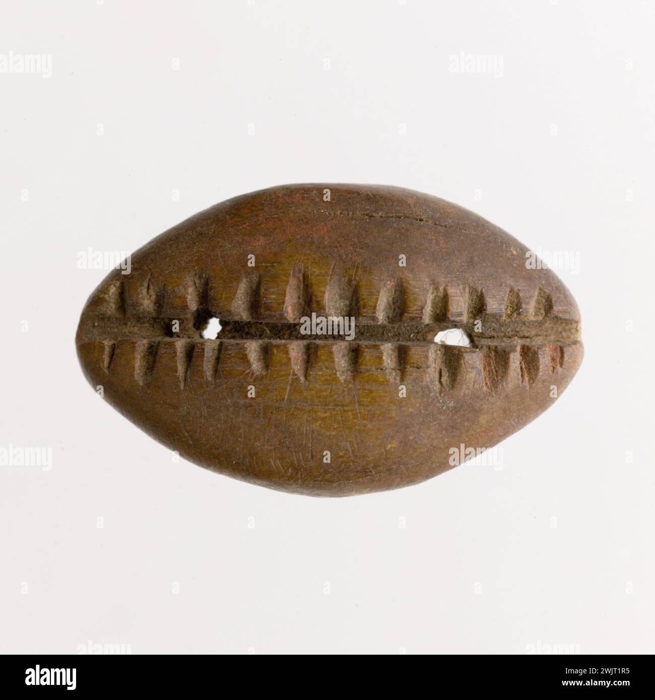 Cauris Marin (11). Shell, bone, wood, china, zhou dynasty (11th century ...