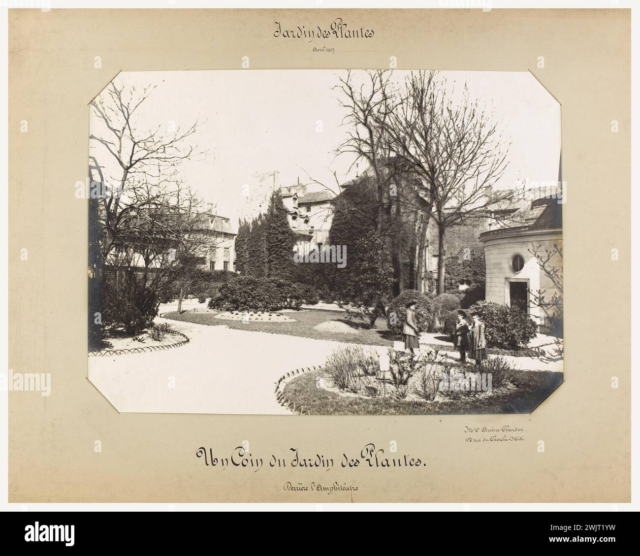 CHARDON (Madam). Jardin des Plantes / August 1907 / A corner of the ...