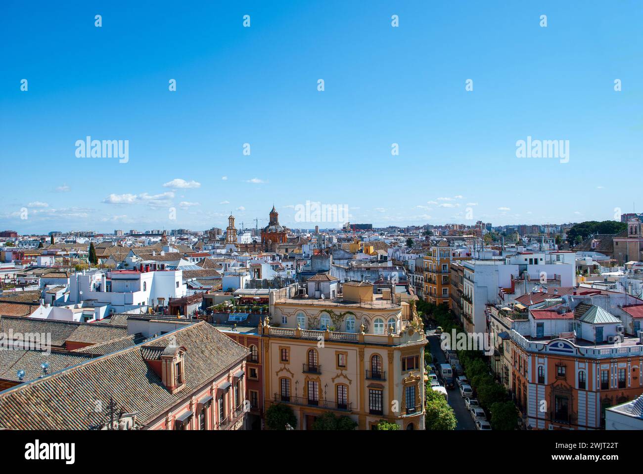 from the bell tower of the Gothic Cathedral of Santa Maria of Seville the view of the splendid ...