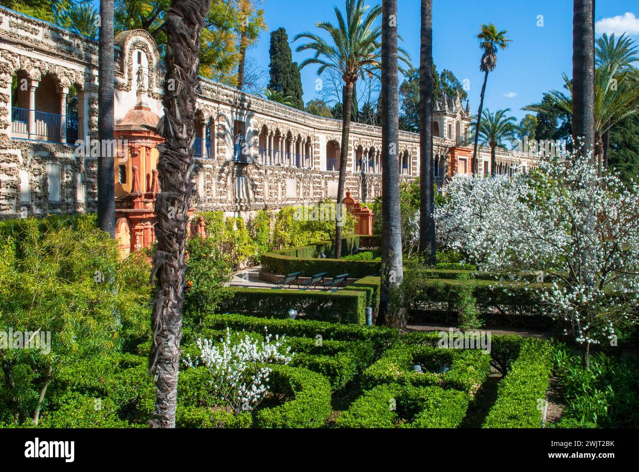 the splendid gardens of the Real Alcazar in the center of Seville still ...