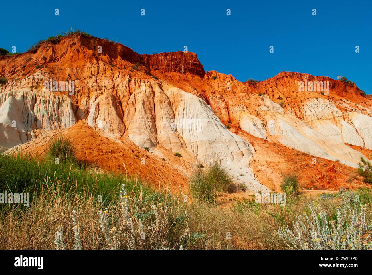 wild life among the gigantic dunes in the Algarve in southern Portugal ...