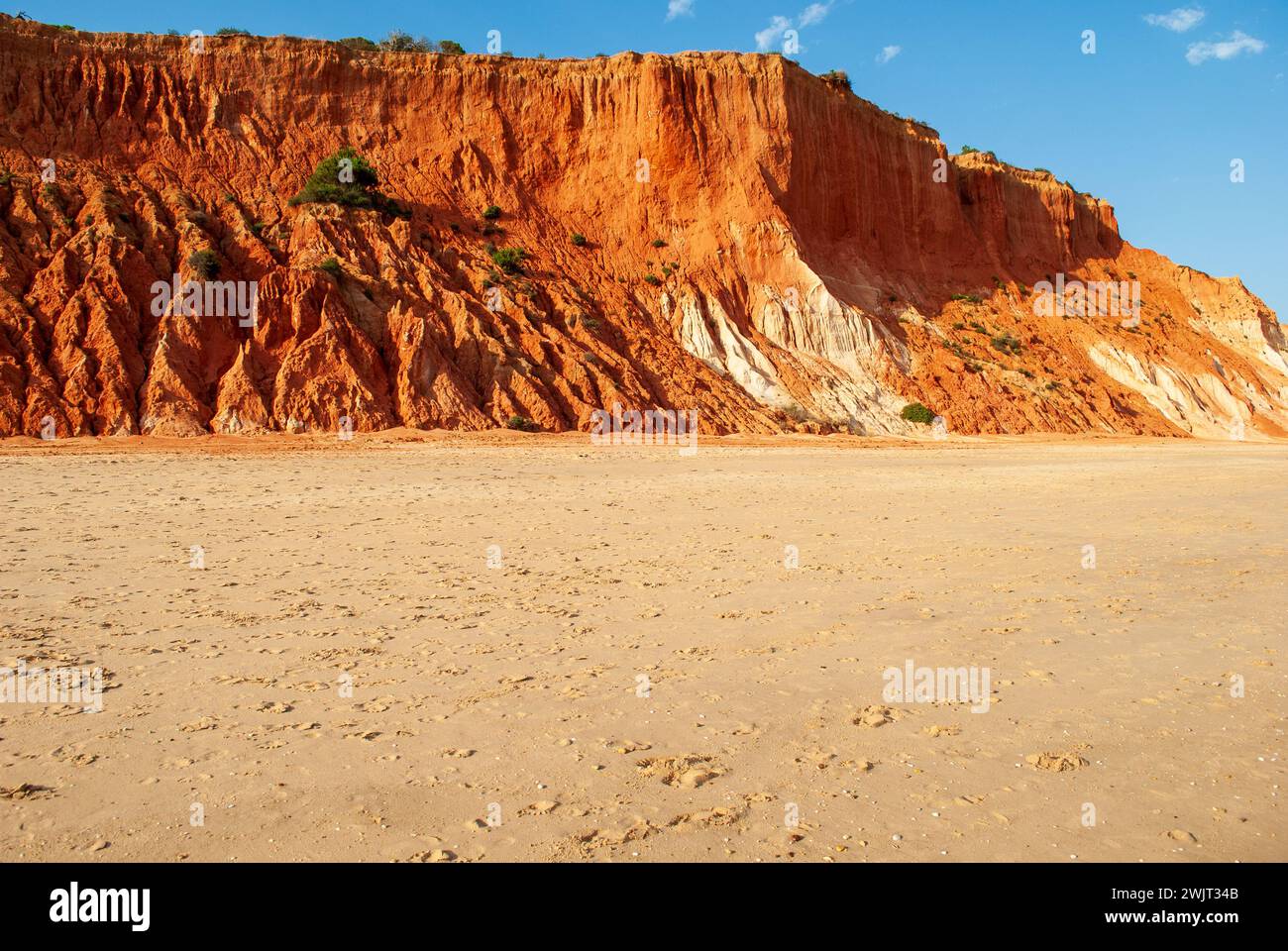 the intense color of the sand of the gigantic dunes in front of the ...
