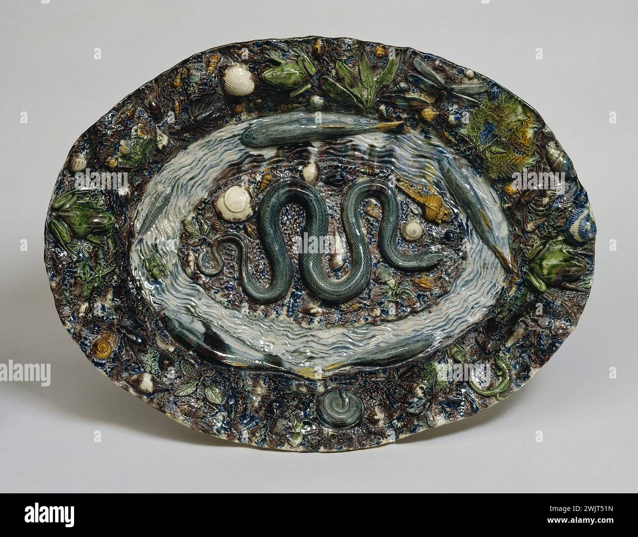 Grenouille coquillage hi-res stock photography and images - Alamy