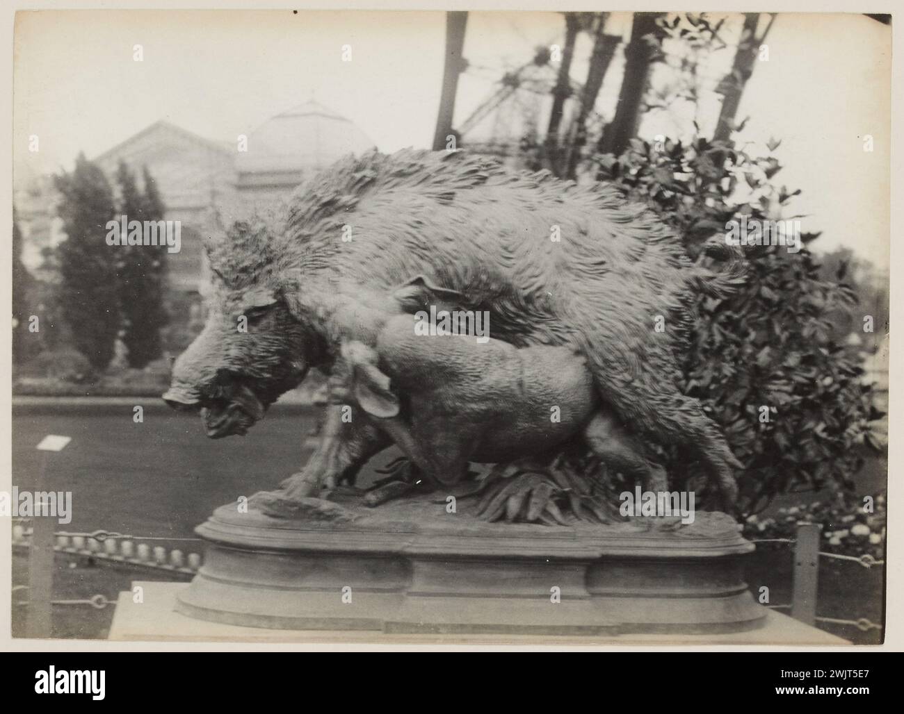 Blancard, Hippolyte (1843 - D.1924), universal exhibition of 1889: dog ...