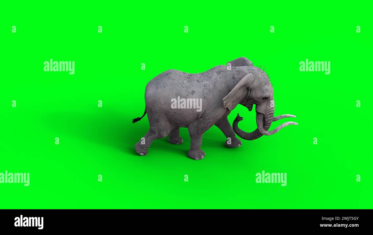 African elephant idle. 3d rendering Stock Photo - Alamy