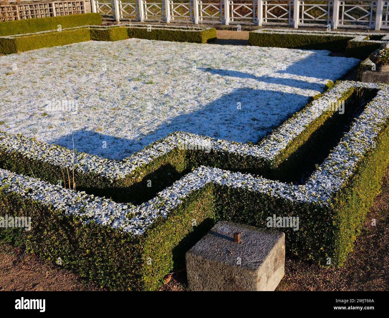 Green hedge row hi-res stock photography and images - Alamy