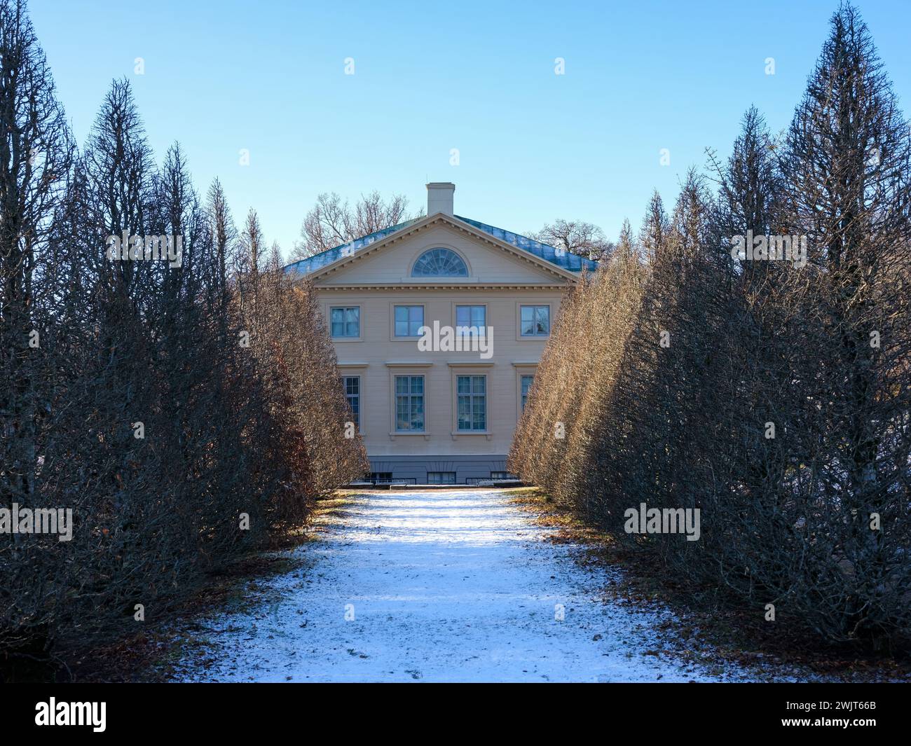 Winter garden at Gunnebo castle. Row of shape cut trees and castle ...