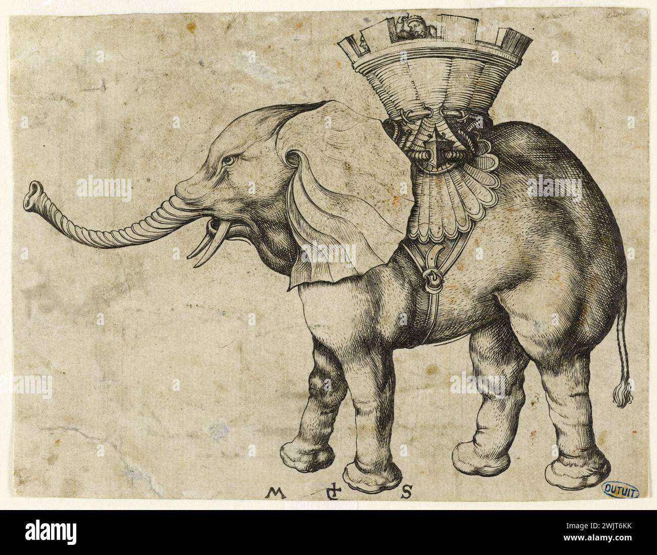 Medieval art elephant hi-res stock photography and images - Alamy