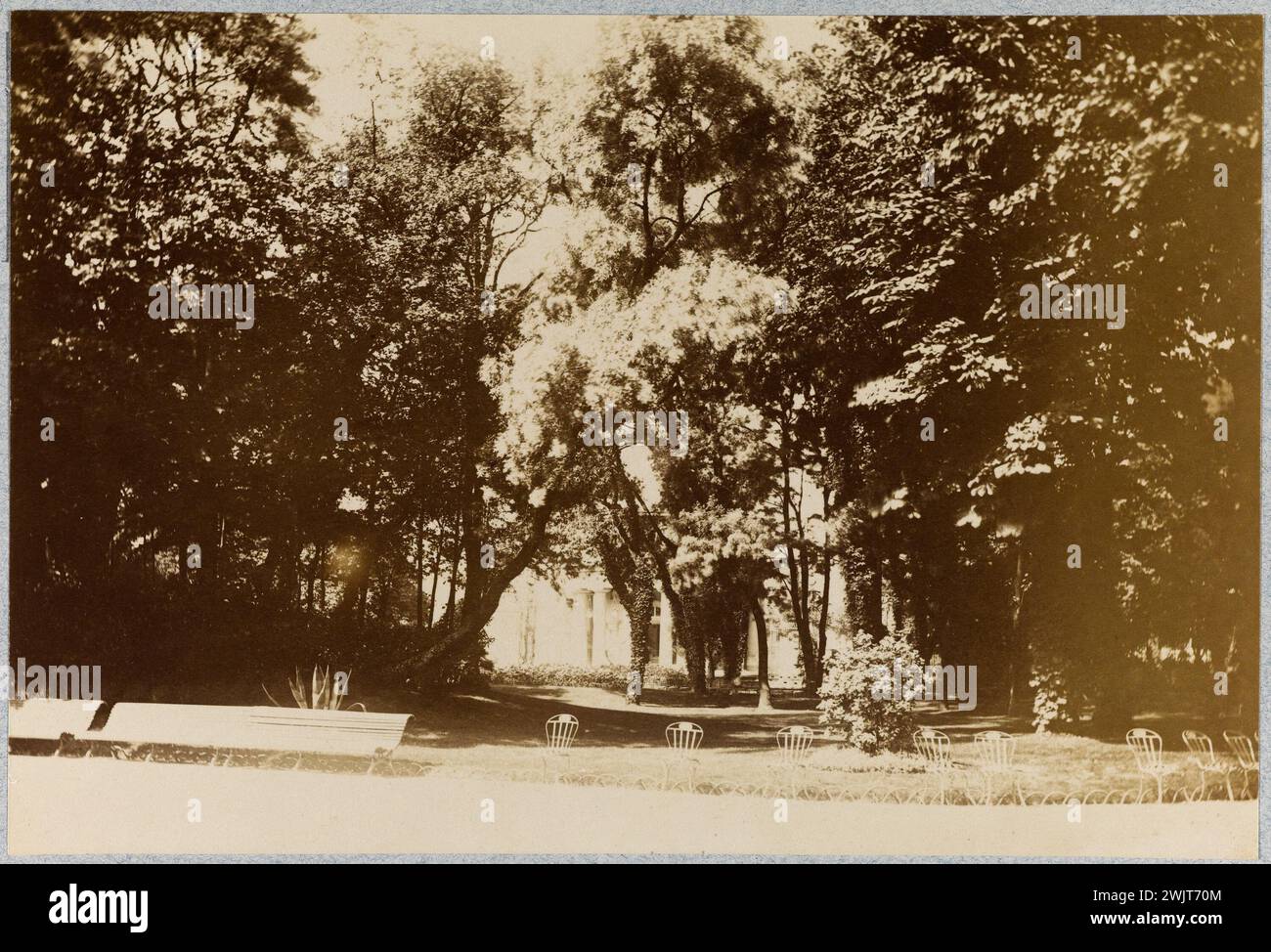 Alley of a wood. Anonymous photography. Albumin paper draw. Paris ...
