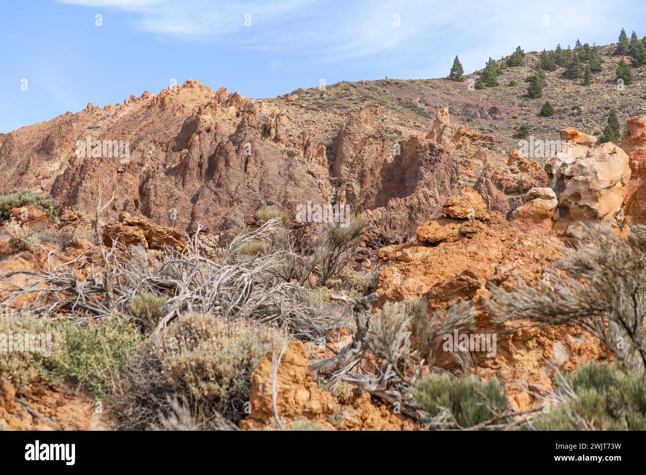 Piedras Amarillas yellow orange rock formation in El Teide crater park ...