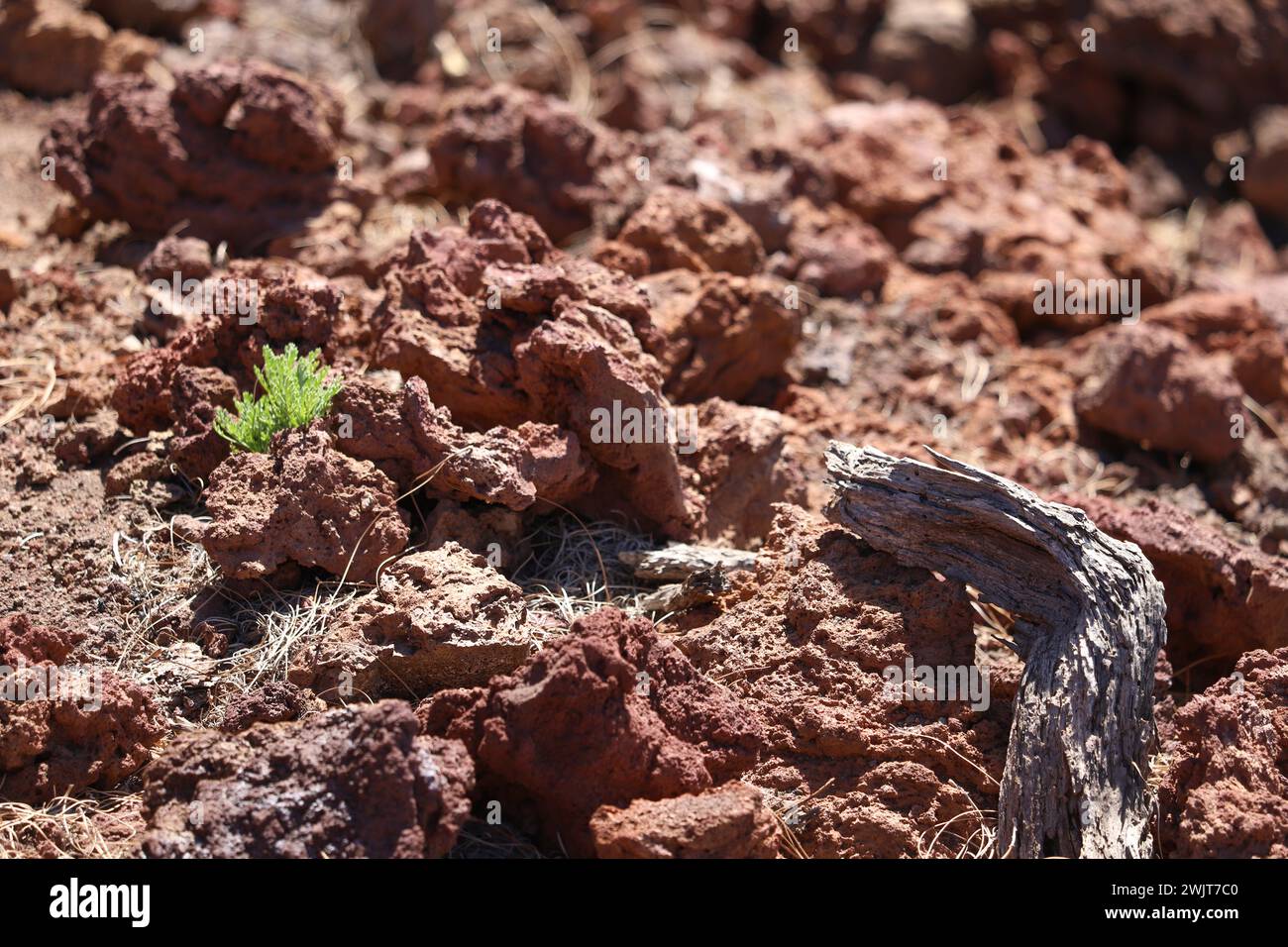 Red lava magma rock texture close up. Geology of Canary island Tenerife ...