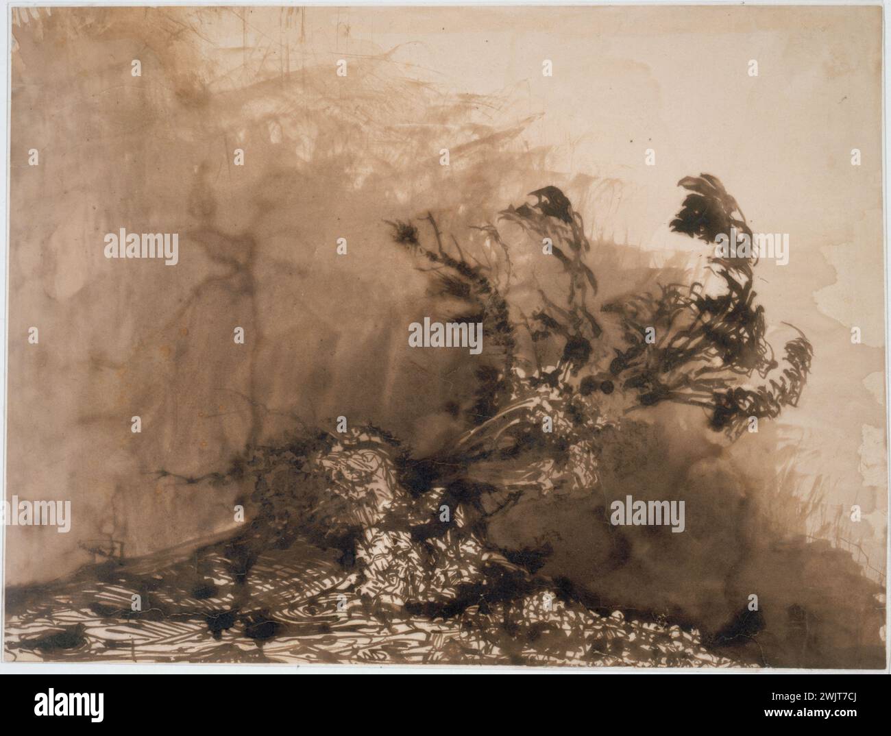 Victor Hugo (1802-1885). "Tree lying by the wind". Paris, house of ...