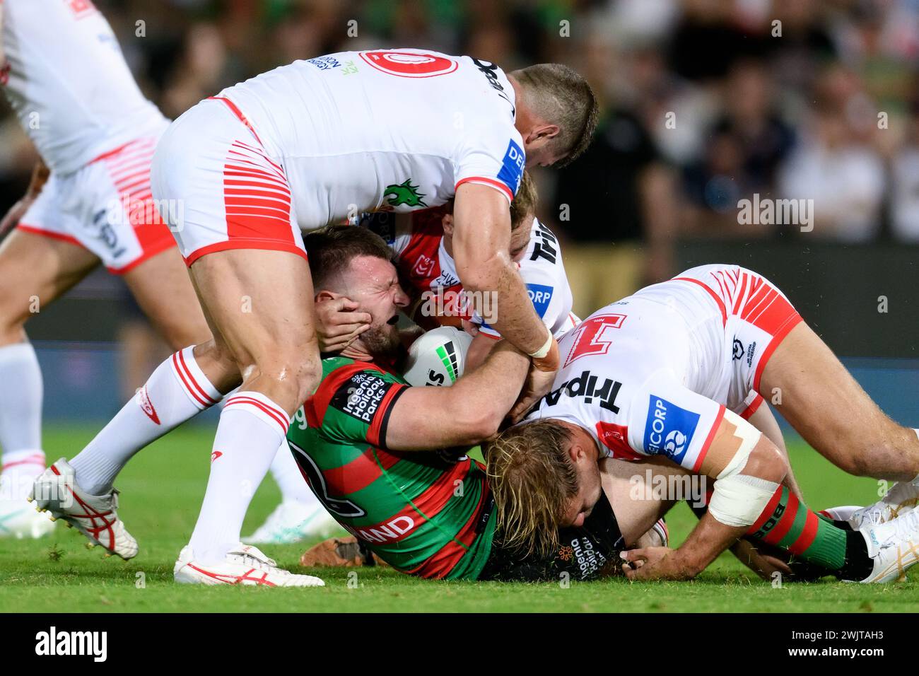 Sydney, Australia. 17th Feb, 2024. Jai Arrow of the South Sydney ...