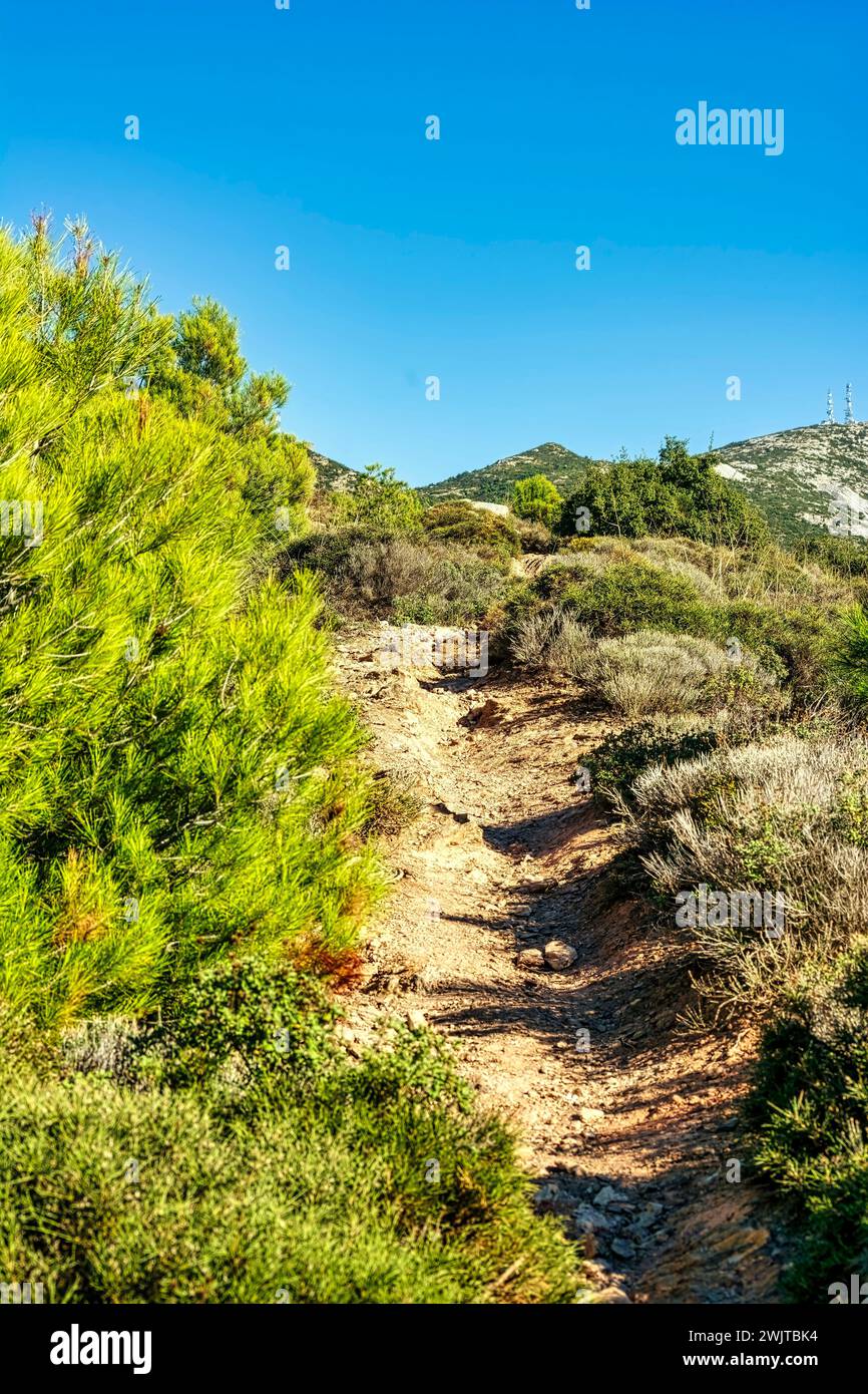 Path through wild forest with gravel and green foliage. Penteli, Greece ...