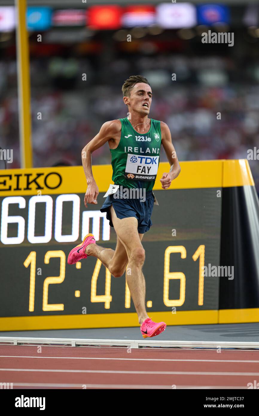 Brian FAY participating in the 5.000 meters at the World Athletics ...