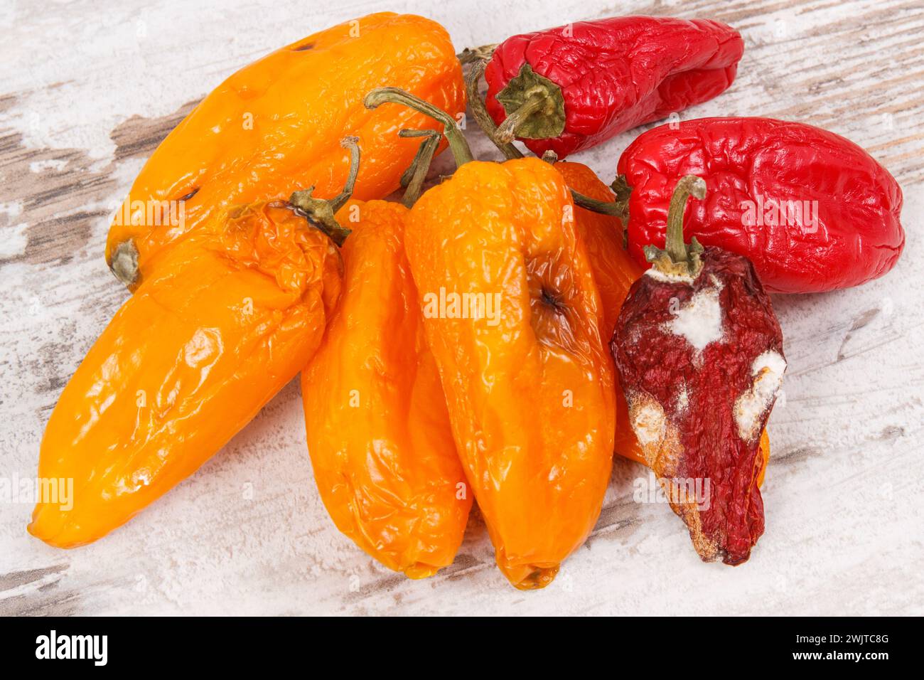 Old wrinkled peppers with mold on old rustic background. Concept of ...