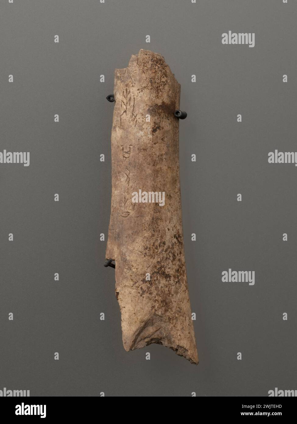 Dynastie shang hi-res stock photography and images - Alamy