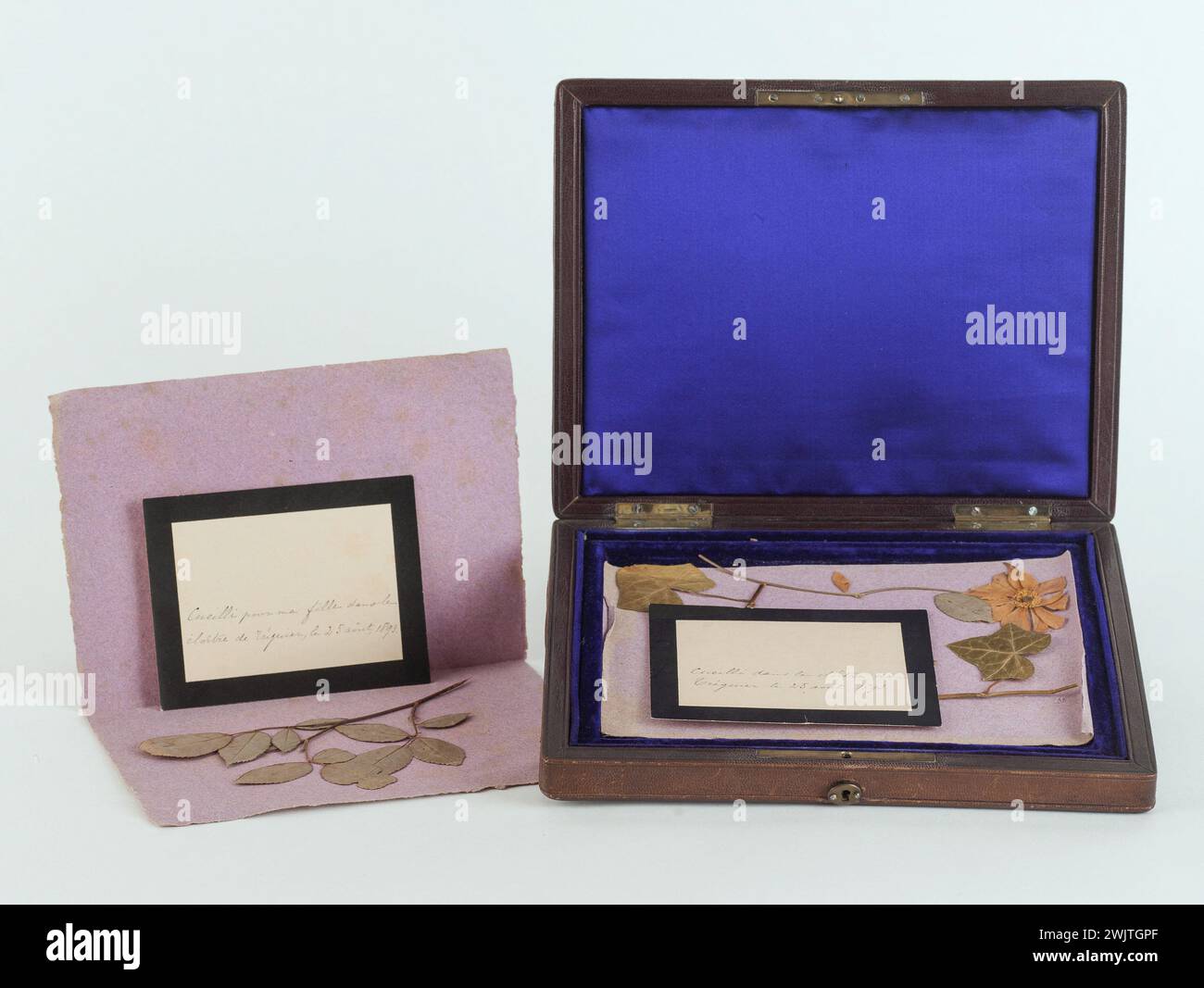 Box containing ivy leaves and dried flowers, and 2 handwritten mourning ...