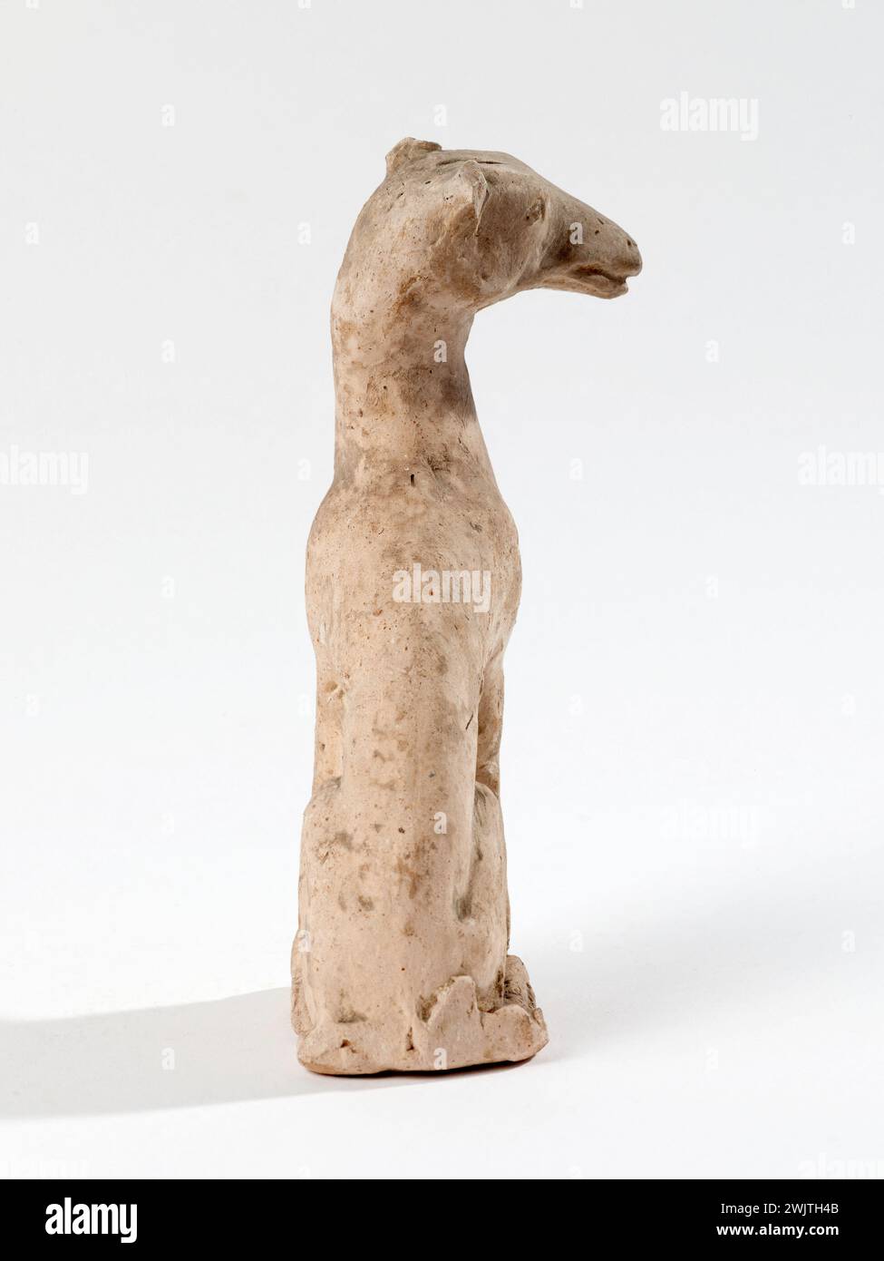 Greyhound ". Terracotta. China, Tang dynasty. Paris, Cernuschi museum ...