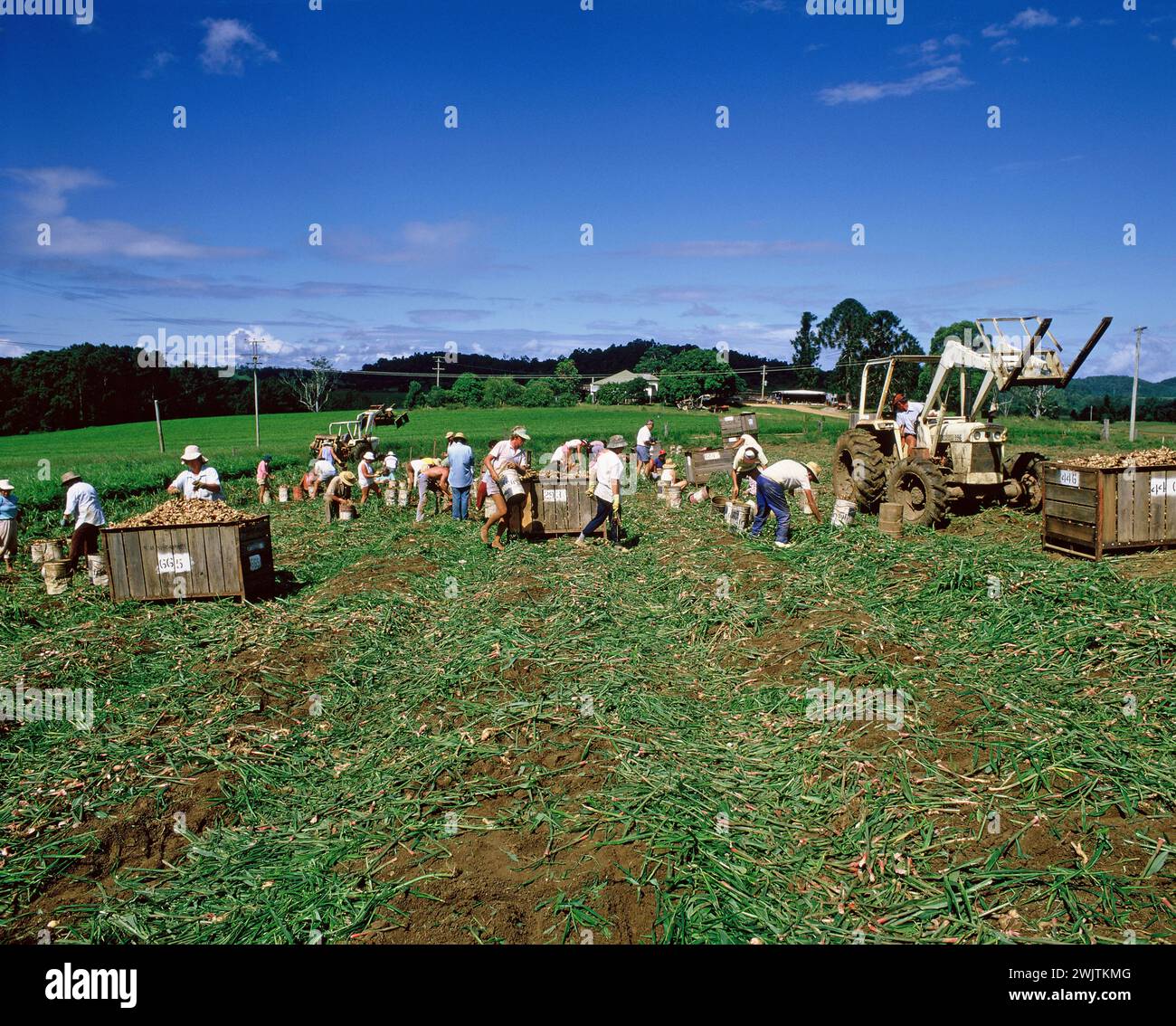 Agriculture australia hi-res stock photography and images - Alamy