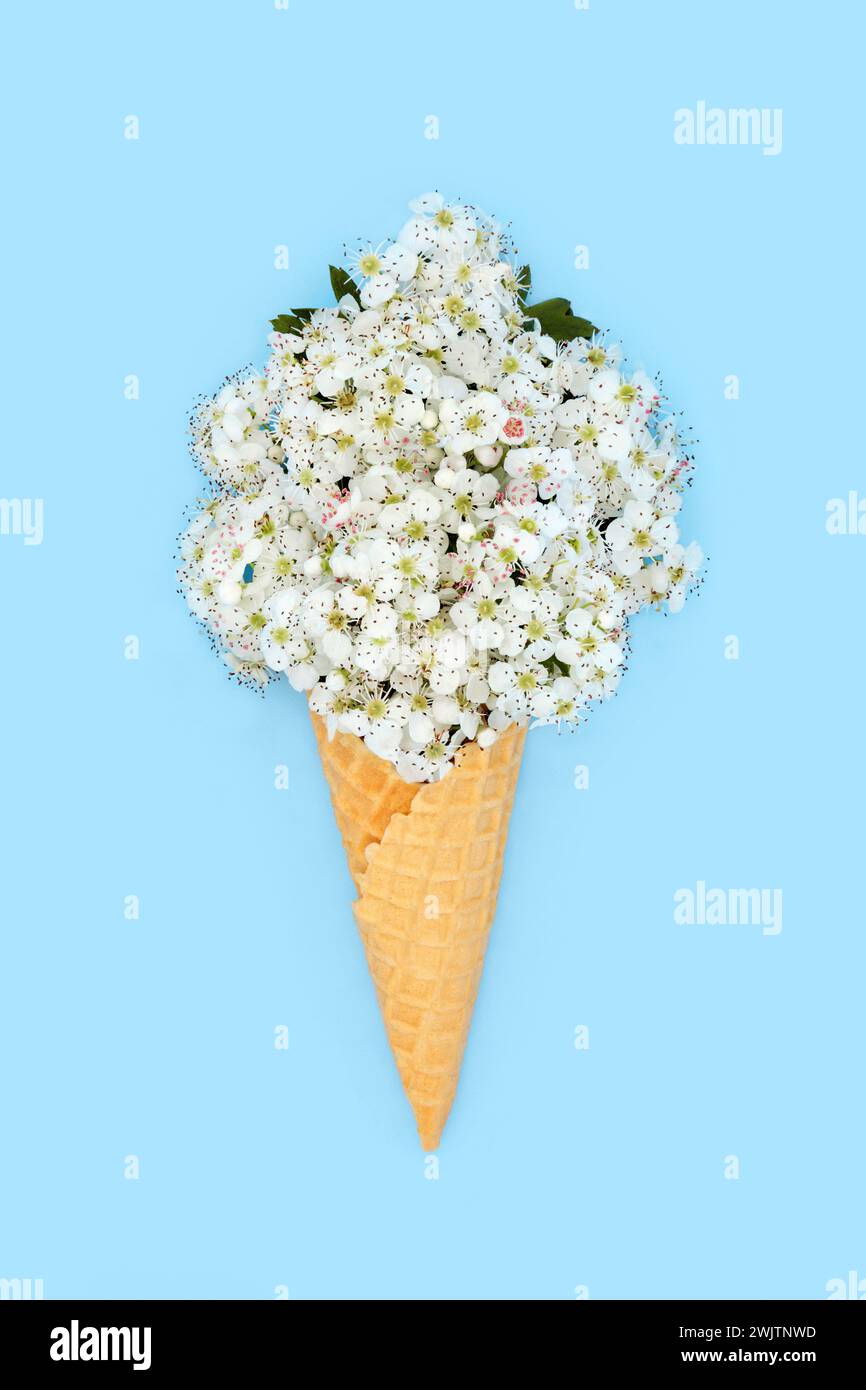 Surreal hawthorn blossom flower ice cream cone concept. Fun edible food ...