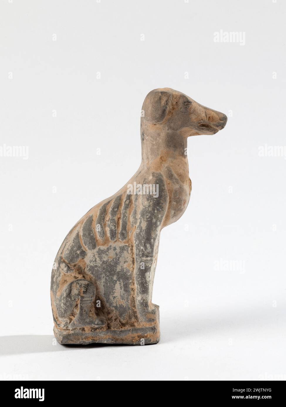 Profil animal hi-res stock photography and images - Alamy