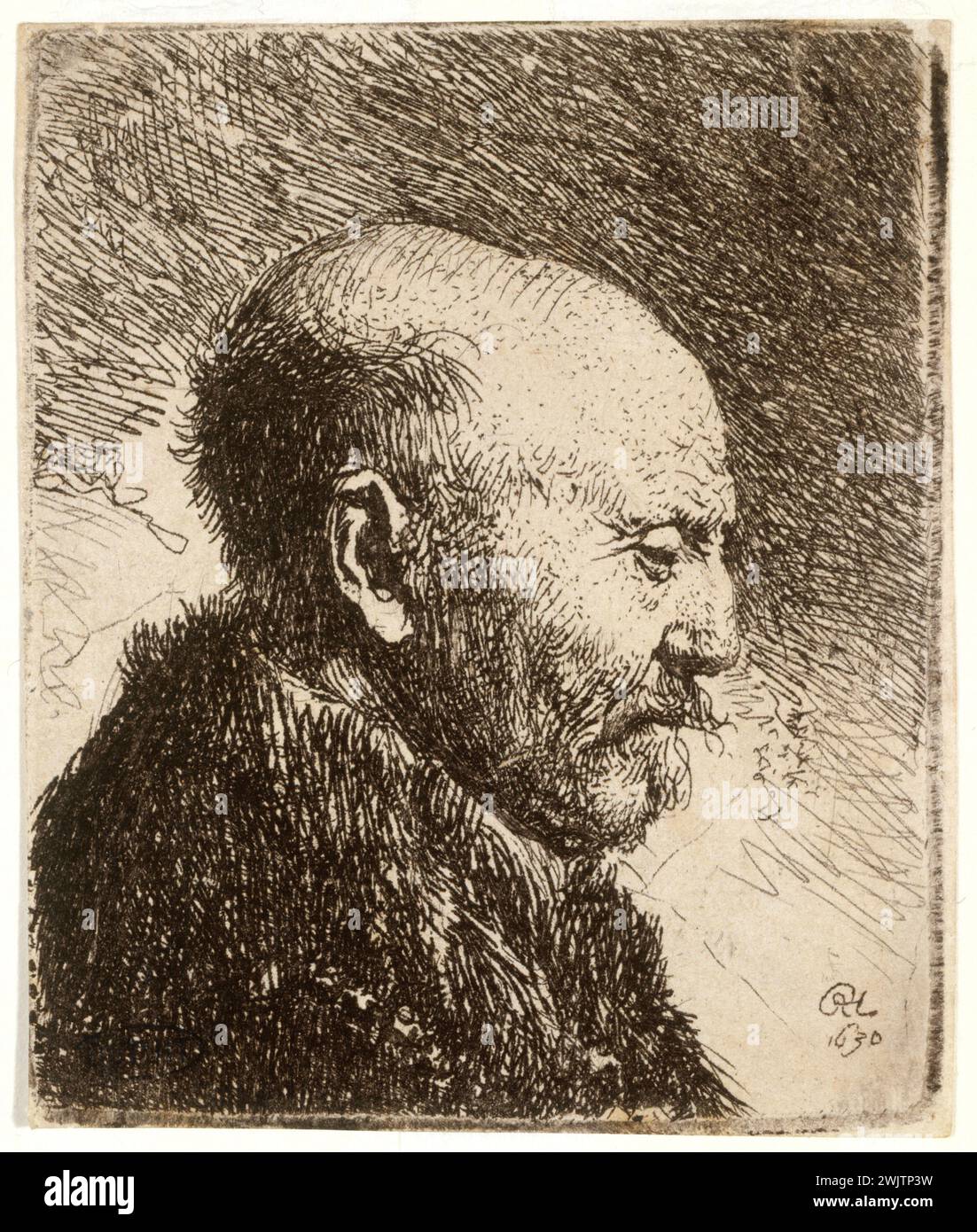 Harmensz van Rijn Rembrandt (1606-1669). "Old Bald in profile: The ...