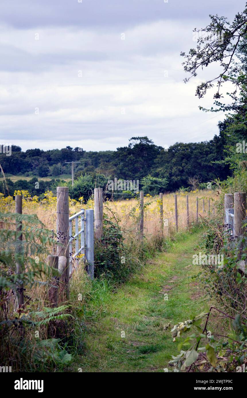 Dll text hi-res stock photography and images - Alamy