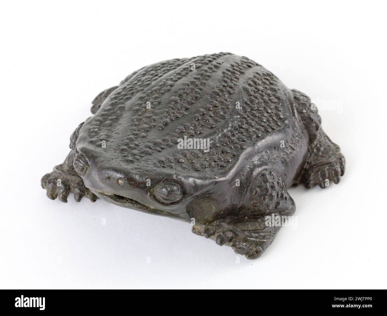 Toad. Bronze. Paris, Cernuschi museum. Asian antique, Japanese ...