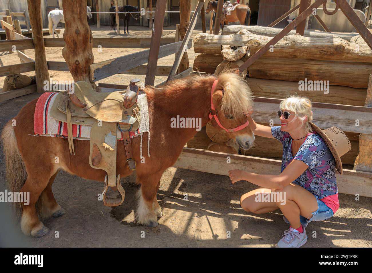 woman stands beside Shetland pony, running her hand along its mane. The ...