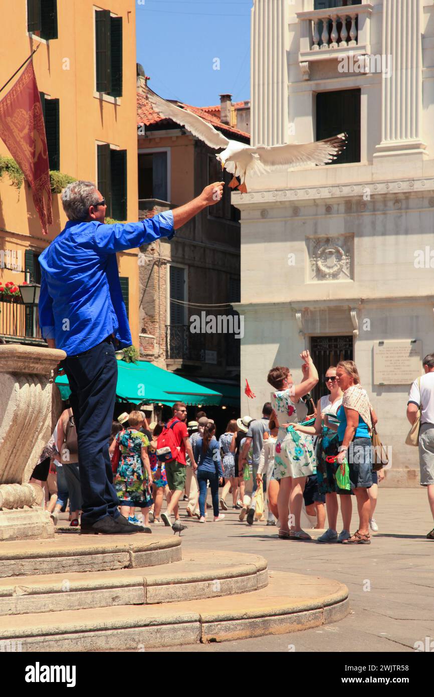 Man feeding seagulls hi-res stock photography and images - Alamy