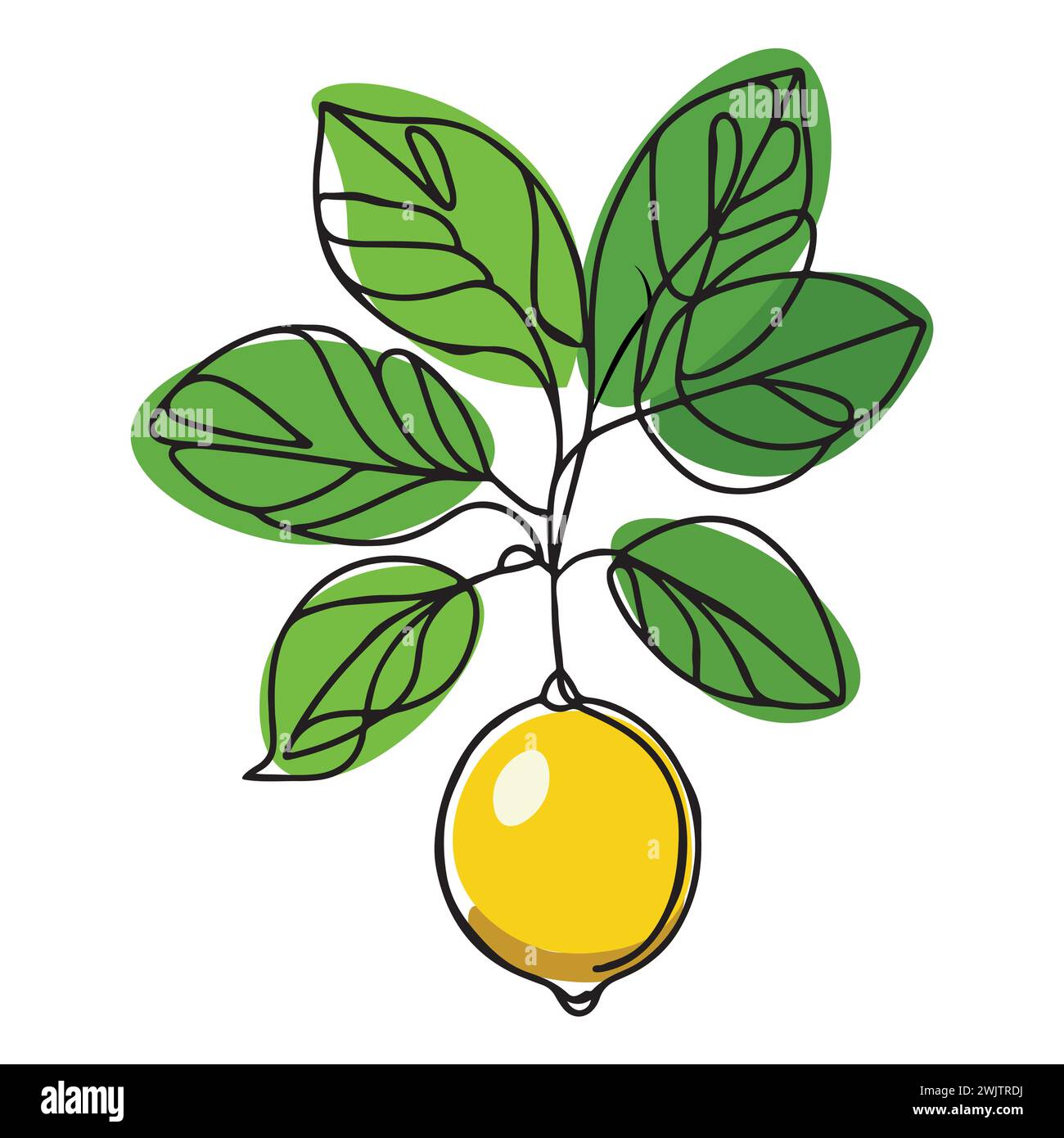 Branch with leaves and yellow lemon. Sketch in linear style with bright ...